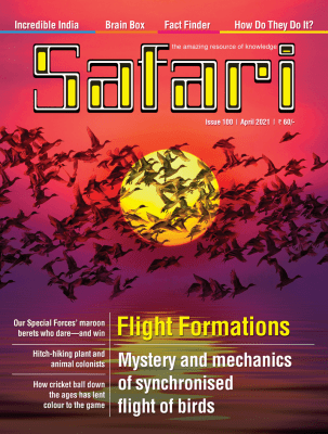 Safari Issue # 100 | Harshal Publications | Safari Magazine