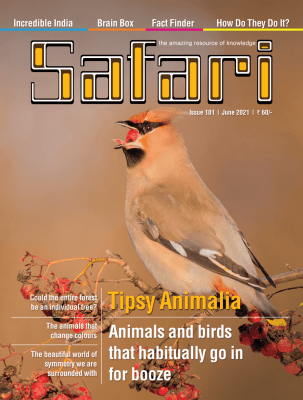 Safari Issue # 101 | Harshal Publications | Safari Magazine