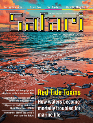 Harshal Publications | Safari Magazine - Amazing Resource of Knowledge