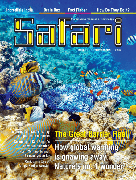 Harshal Publications | Safari Magazine - Amazing Resource of Knowledge