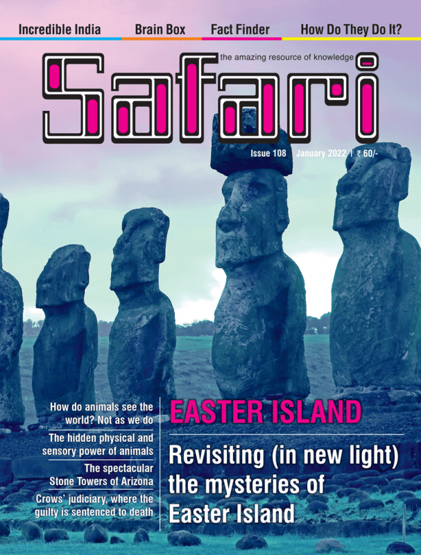 Harshal Publications | Safari Magazine - Amazing Resource of Knowledge