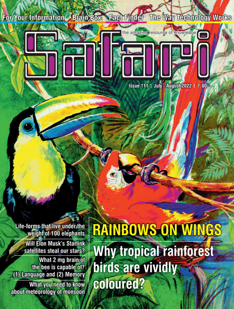 Harshal Publications | Safari Magazine - Amazing Resource of Knowledge