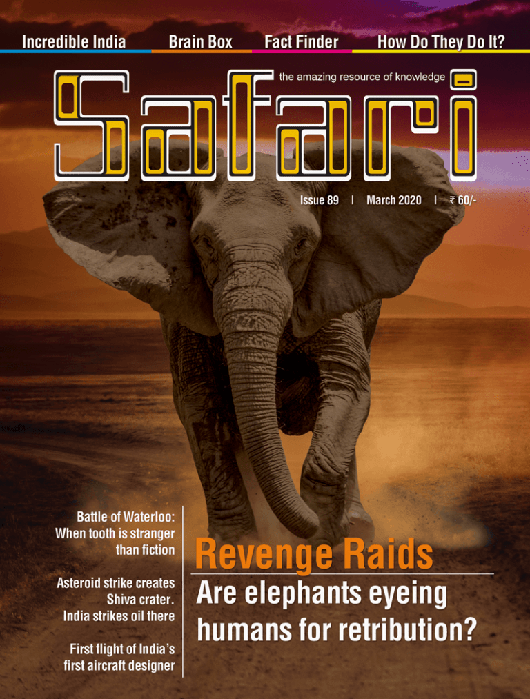 Magazines Archives | Harshal Publications | Safari Magazine