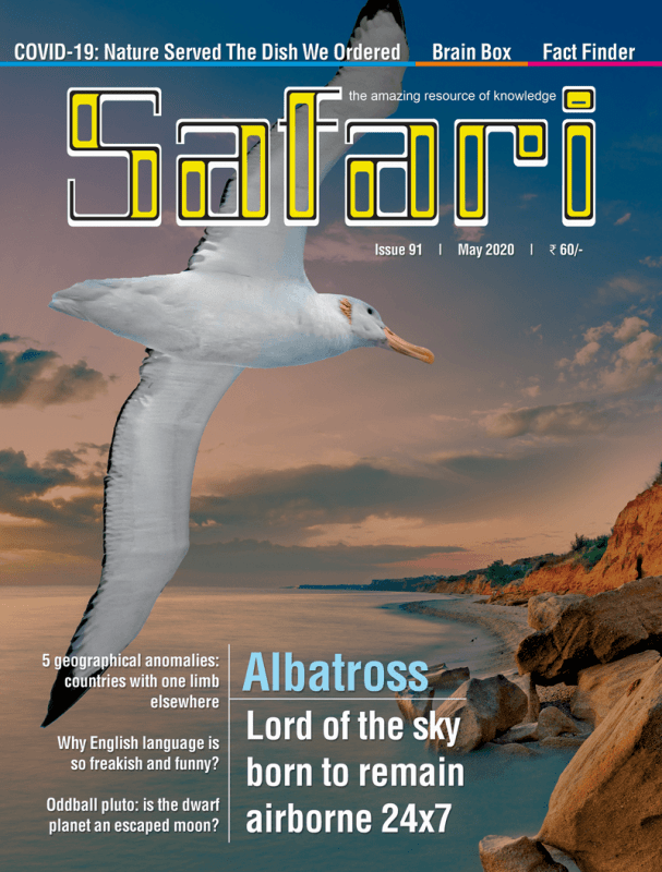 Safari Issue # 91 (Digital Edition) | Harshal Publications | Safari ... Safari Issue # 91 (Digital Edition) | Harshal Publications | Safari ...