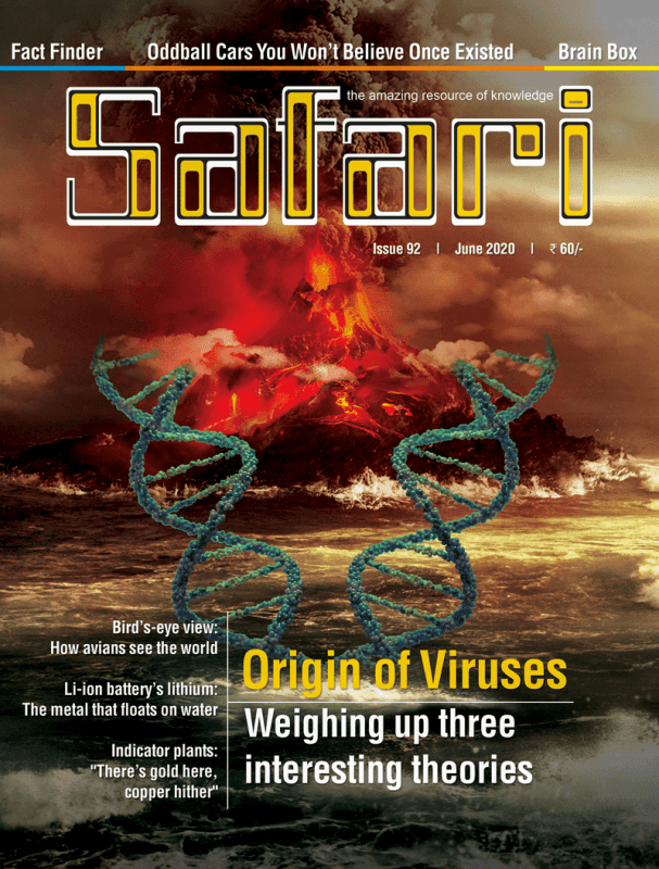 Magazines Archives | Harshal Publications | Safari Magazine