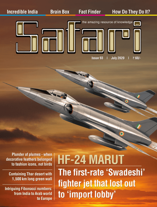 Safari Issue # 93 (Digital Edition) | Harshal Publications | Safari ...