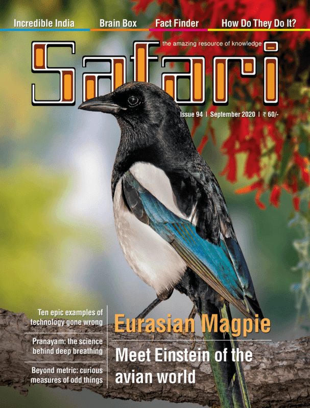Safari Issue # 94 | Harshal Publications | Safari Magazine
