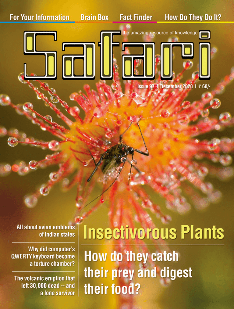 Safari Issue # 97 (Digital Edition) | Harshal Publications | Safari ...