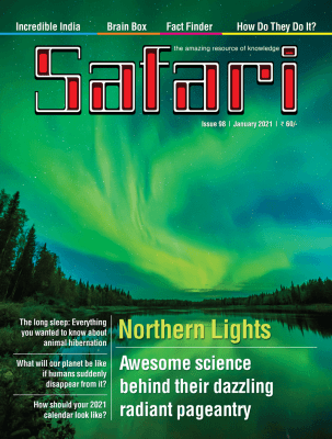 Safari Issue # 98 | Harshal Publications | Safari Magazine