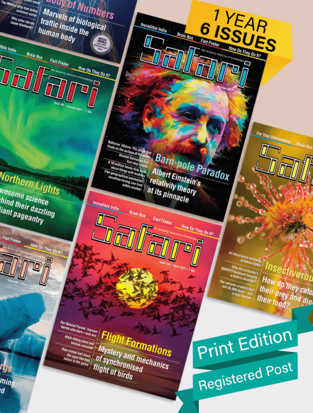 Print Edition Archives | Harshal Publications | Safari Magazine