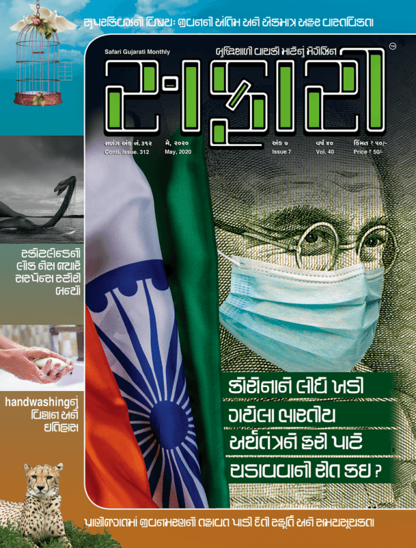 English Past Issues Archives | Harshal Publications | Safari Magazine
