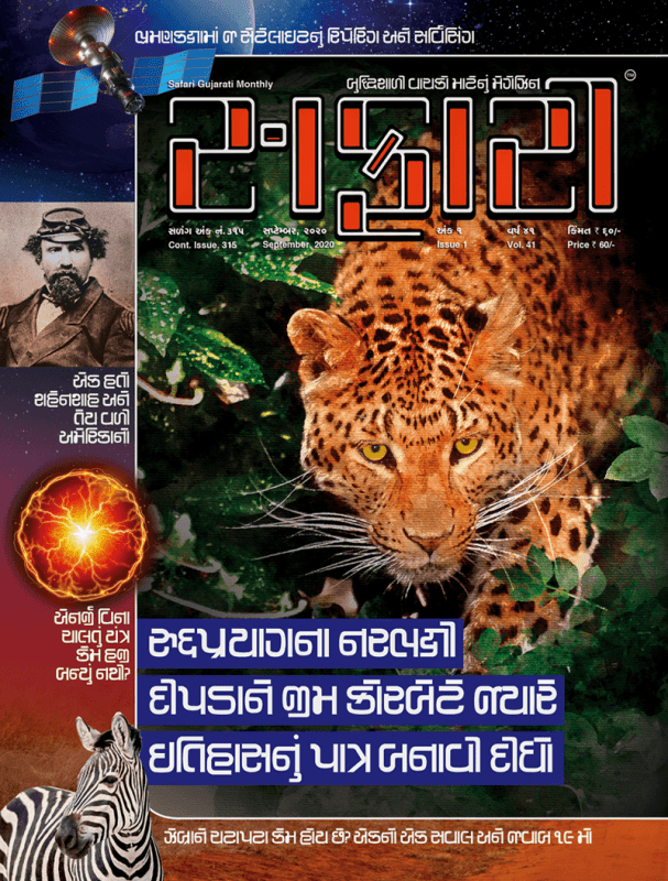 Safari Issue 315 Harshal Publications Safari Magazine
