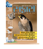 Harshal Publications | Safari Magazine - Amazing Resource of Knowledge